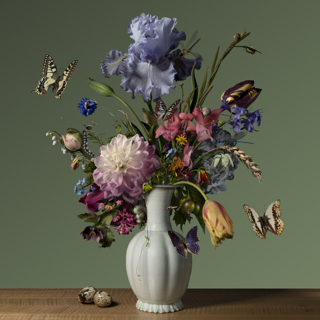 HOLLAND | Bas Meeuws